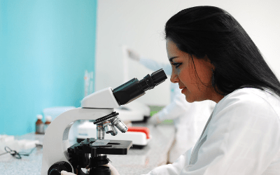 Egg Yolk Peritonitis in Backyard Chickens | VCA Animal Hospital