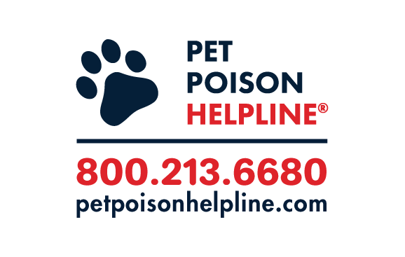 Acetaminophen Toxicity in Cats | VCA Animal Hospital