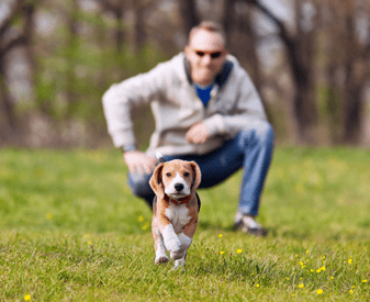 Veterinarians in Sarnia, ON | Blue Cross Animal Hospital