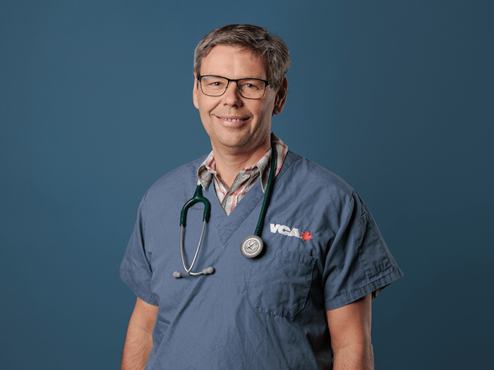 24 Hour Emergency Vet Near Me & Specialty Veterinarians in Calgary, AB ...