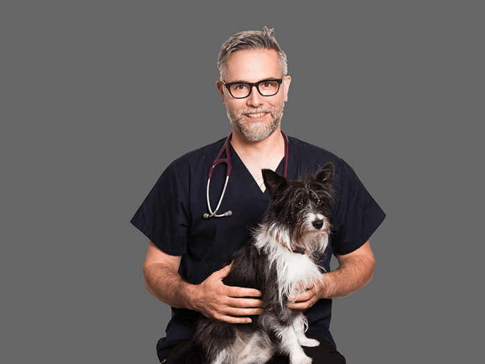 Manuel Boller | Central Victoria Veterinary Hospital