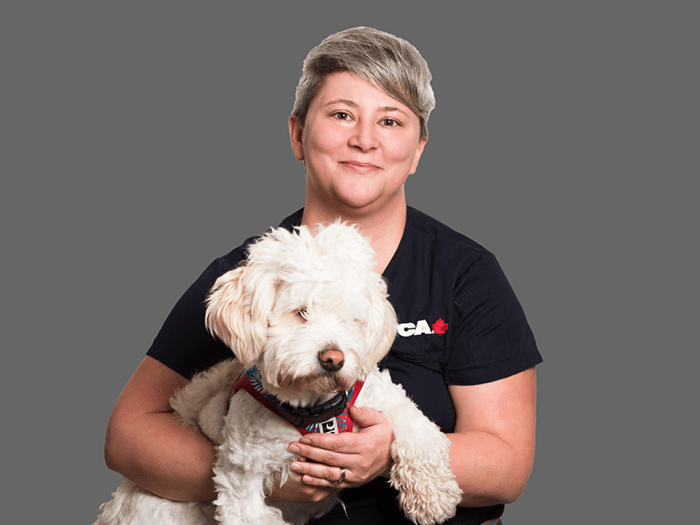 Melissa Hill | Central Victoria Veterinary Hospital