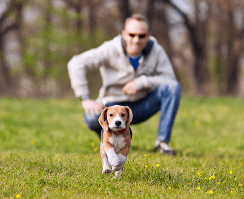 Veterinarians in Calgary, AB | Dalhousie Varsity Animal Hospital