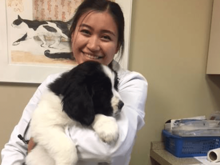 Patricia Guajardo | Dalhousie Varsity Animal Hospital